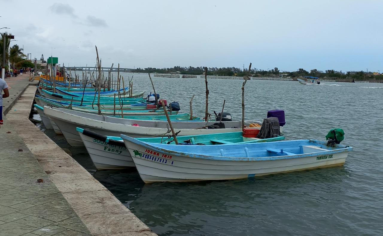 El Heraldo de Veracruz - Habrá concurso de lanchas